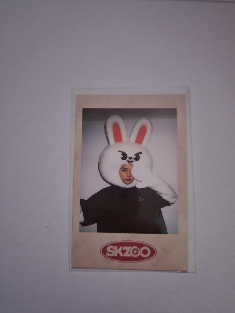 skz straykids skzoo pc leebit foxiny puppym dwaekki, Hobbies & Toys ...