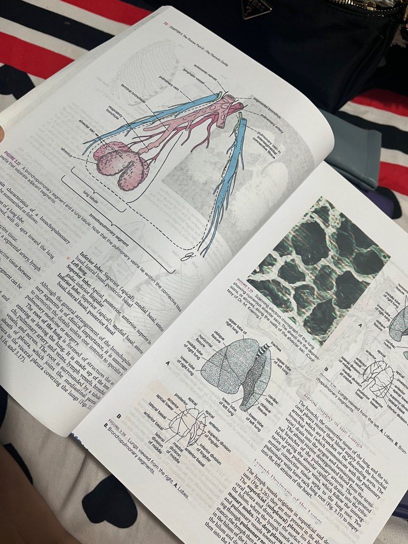 SNELL(Clinical Anatomy by Region 9th ed Reprint), Hobbies & Toys, Books ...