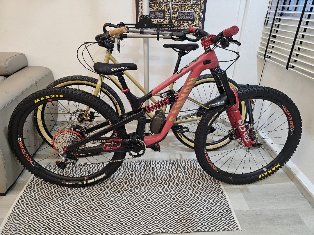 Canyon spectral (frame only), Sports Equipment, Bicycles & Parts ...