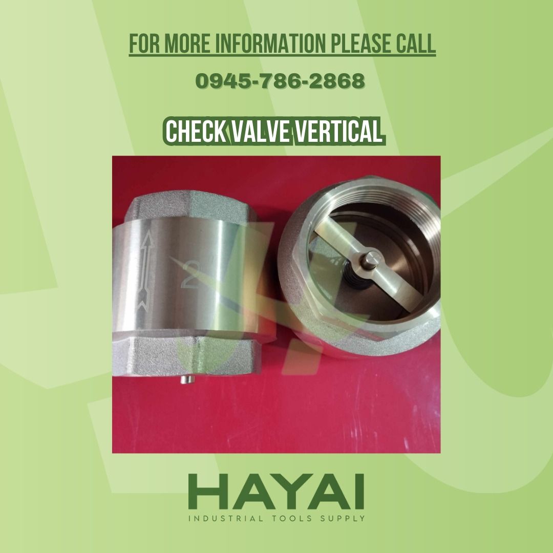 Check Valve Vertical, Commercial & Industrial, Industrial Equipment on ...