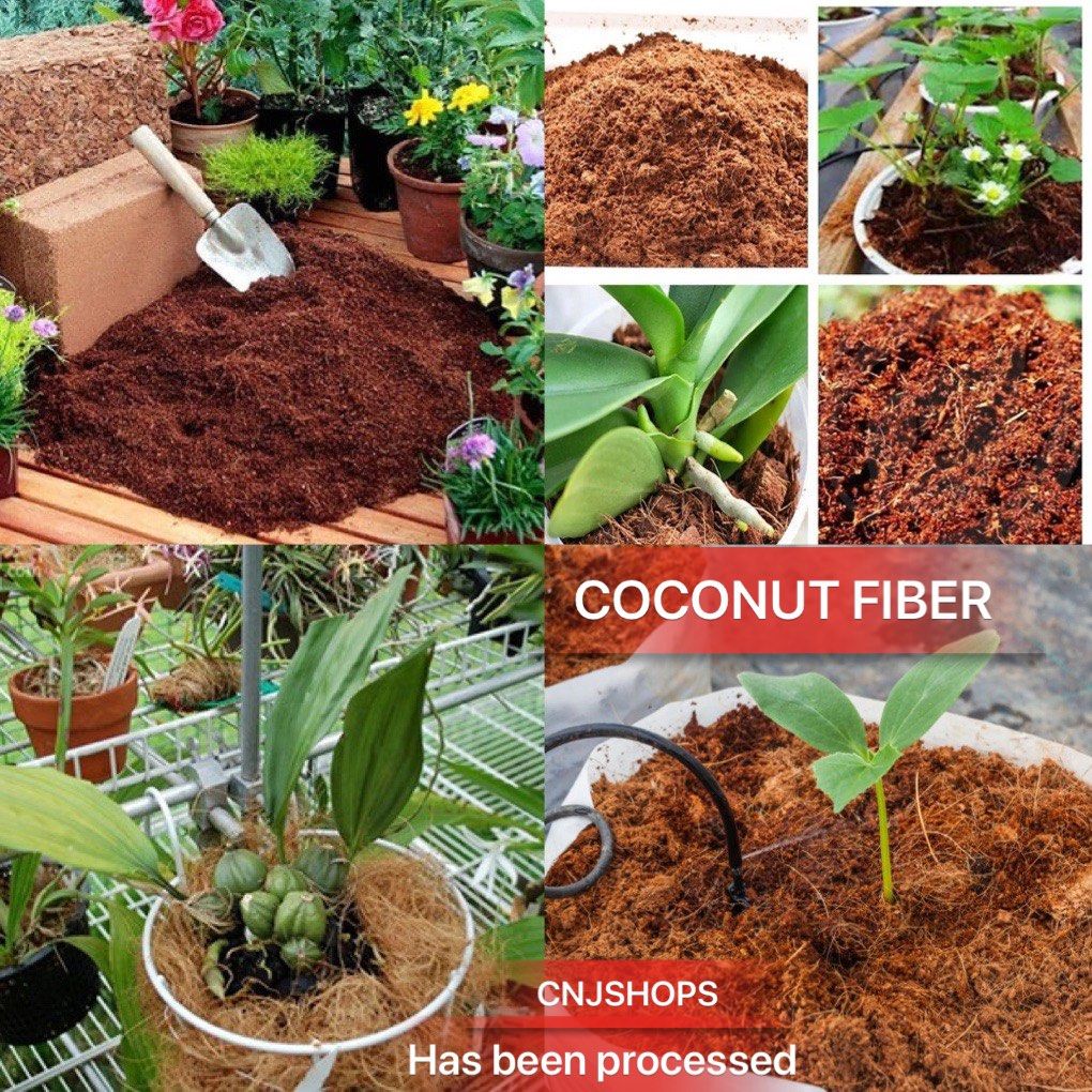COCONUT FIBER HAS BEEN PROCESSED READY TO USE., Furniture & Home Living ...
