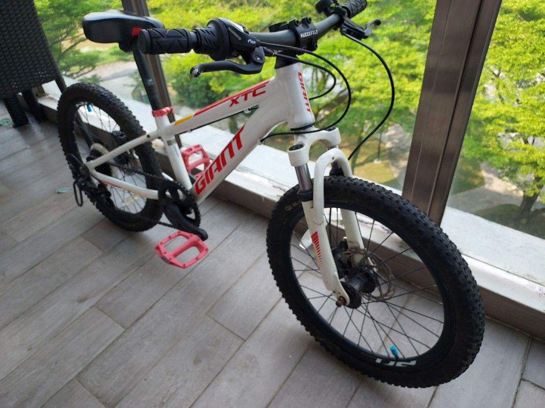 Giant XTR Jr 20, Sports Equipment, Bicycles & Parts, Bicycles on Carousell