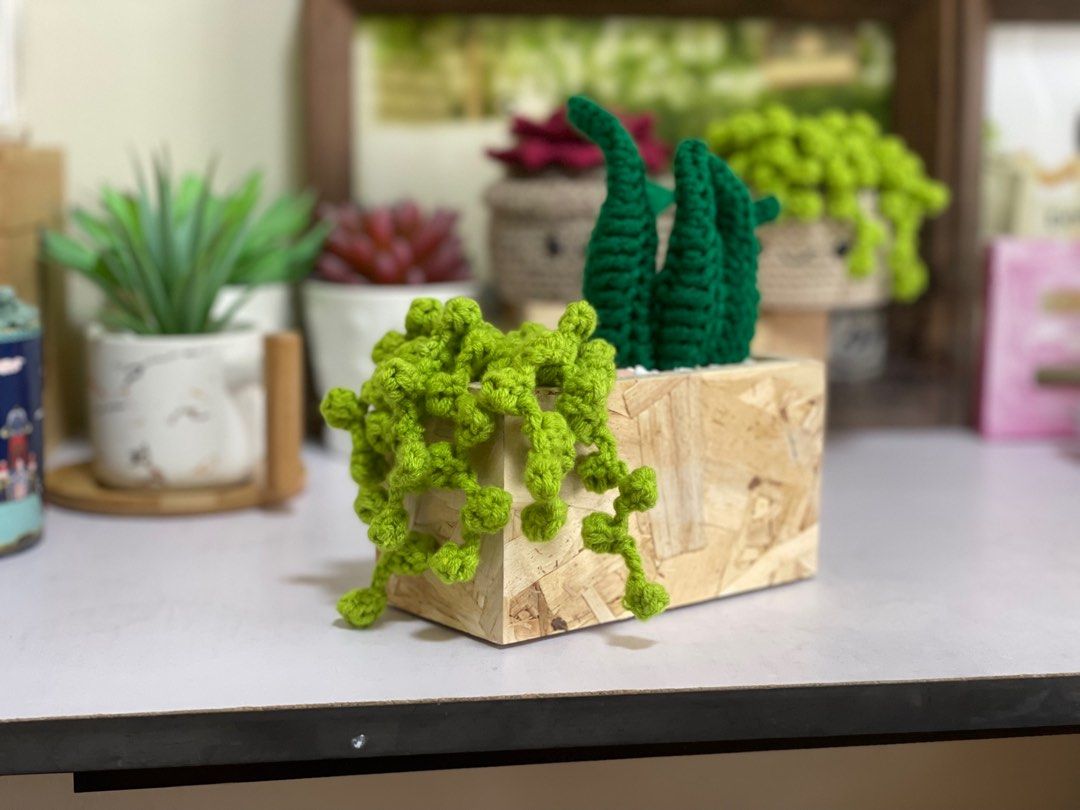 Handmade crochet plant - aloe vera and string of pearls, Hobbies & Toys ...