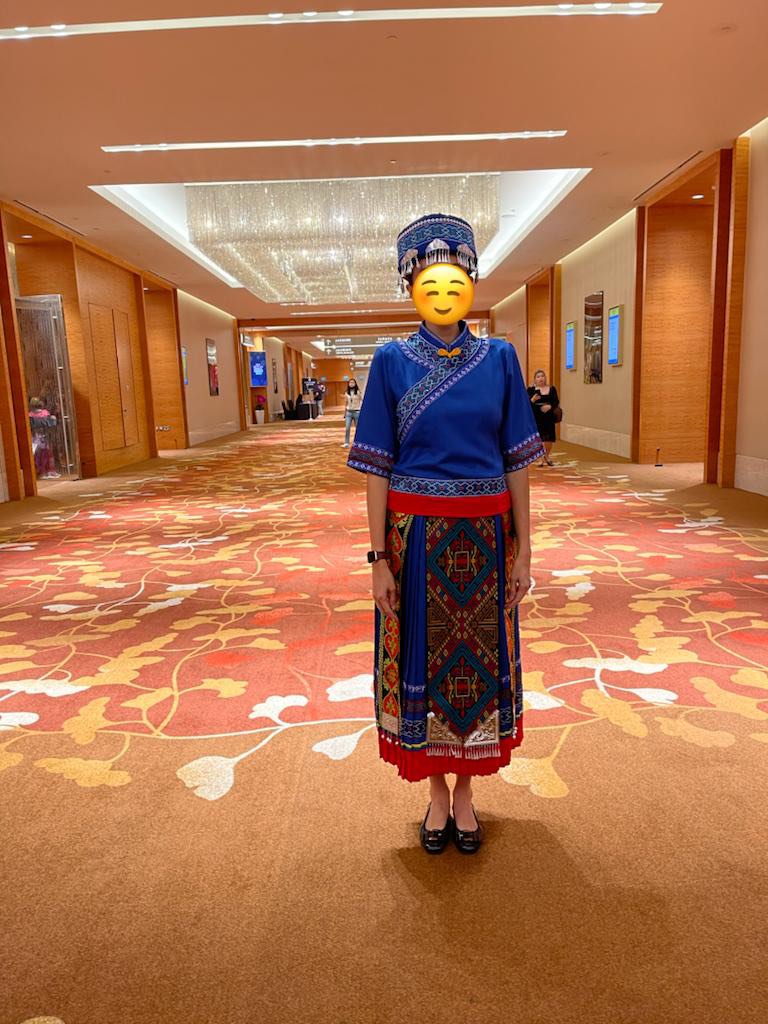 Miao zu tribal costume dnd, Women's Fashion, Dresses & Sets ...