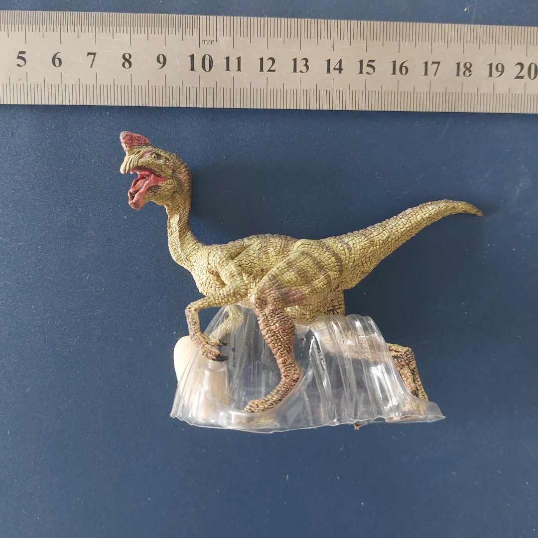 PAPO Oviraptor Dinosaur Jurassic, Hobbies & Toys, Toys & Games on Carousell