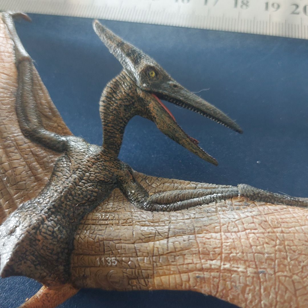PAPO Pteranodon Flying Dinosaur Jurassic, Hobbies & Toys, Toys & Games ...