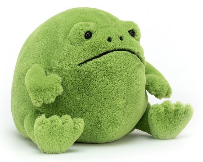 Ricky Rain Frog LARGE BNWT (25CM Height x 30CM Width), Hobbies & Toys ...