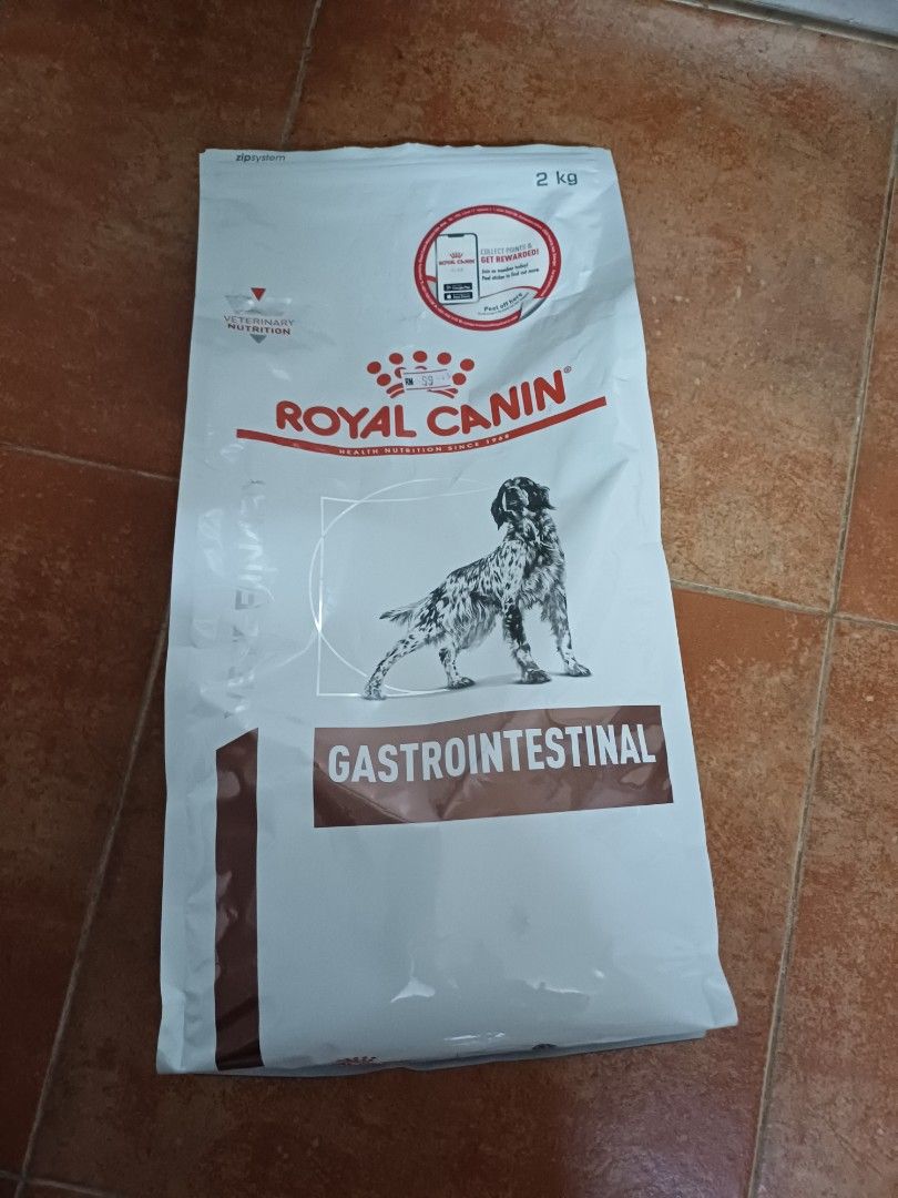 Royal Canin Gastrointestinal Dog Food, Pet Supplies, Pet Food on Carousell