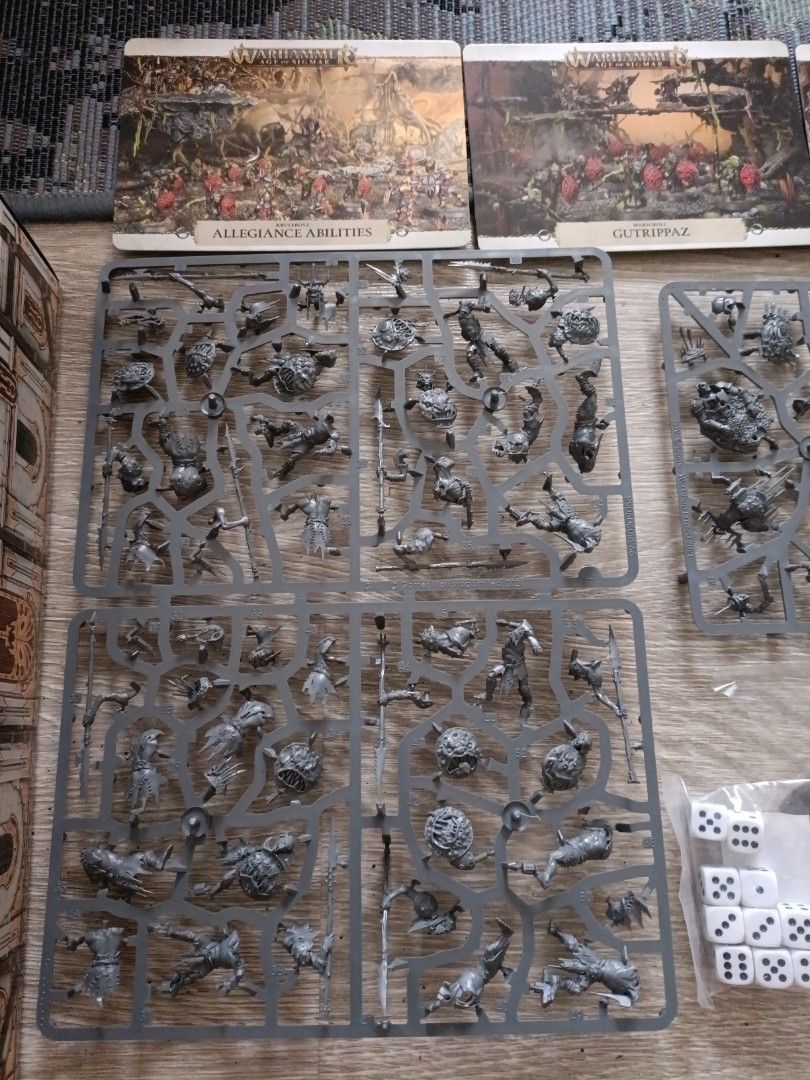 Warhammer Sigmar AOS Starter Set, Hobbies & Toys, Toys & Games on Carousell