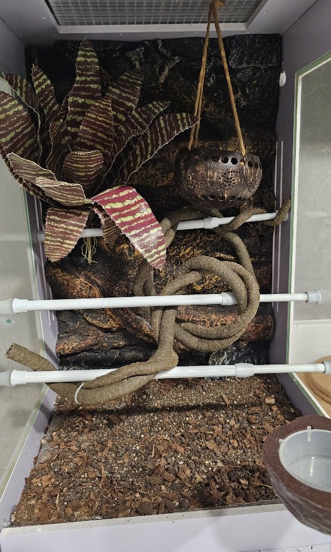 Full set Tank for Birds, Exotics, Small animal, Pet Supplies, Homes ...