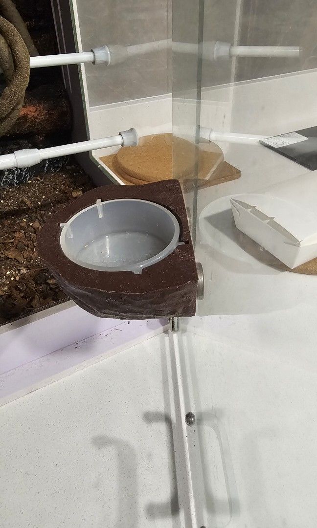 Full set Tank for Birds, Exotics, Small animal, Pet Supplies, Homes ...