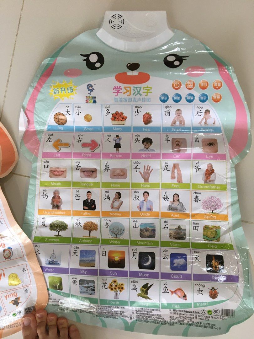 Hanyu Pinyin and Mandarin tools, Hobbies & Toys, Toys & Games on Carousell