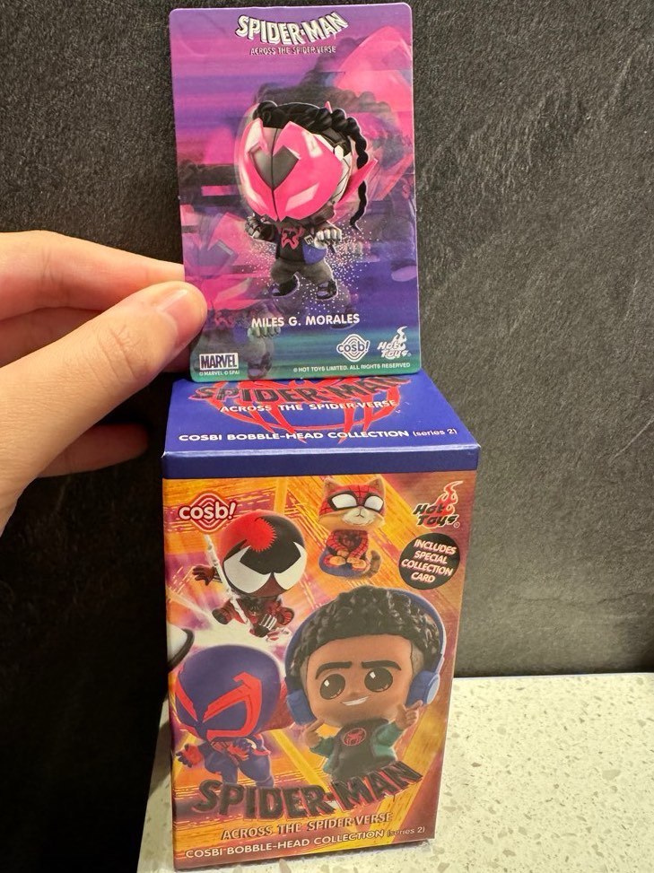 HOTTOYS SPIDER-MAN ACROSS THE SPIDER-VERSE BLIND BOX MYSTERY, Hobbies ...
