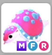 MFR GLYPTODON ADOPT ME, Video Gaming, Gaming Accessories, In-Game ...
