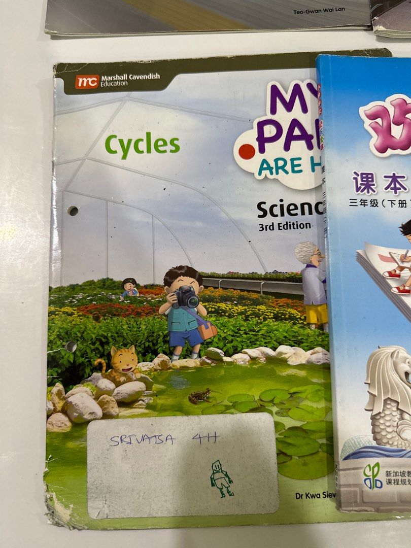 P3 Math / Chinese / Science Textbook Bundle, Hobbies & Toys, Books ...