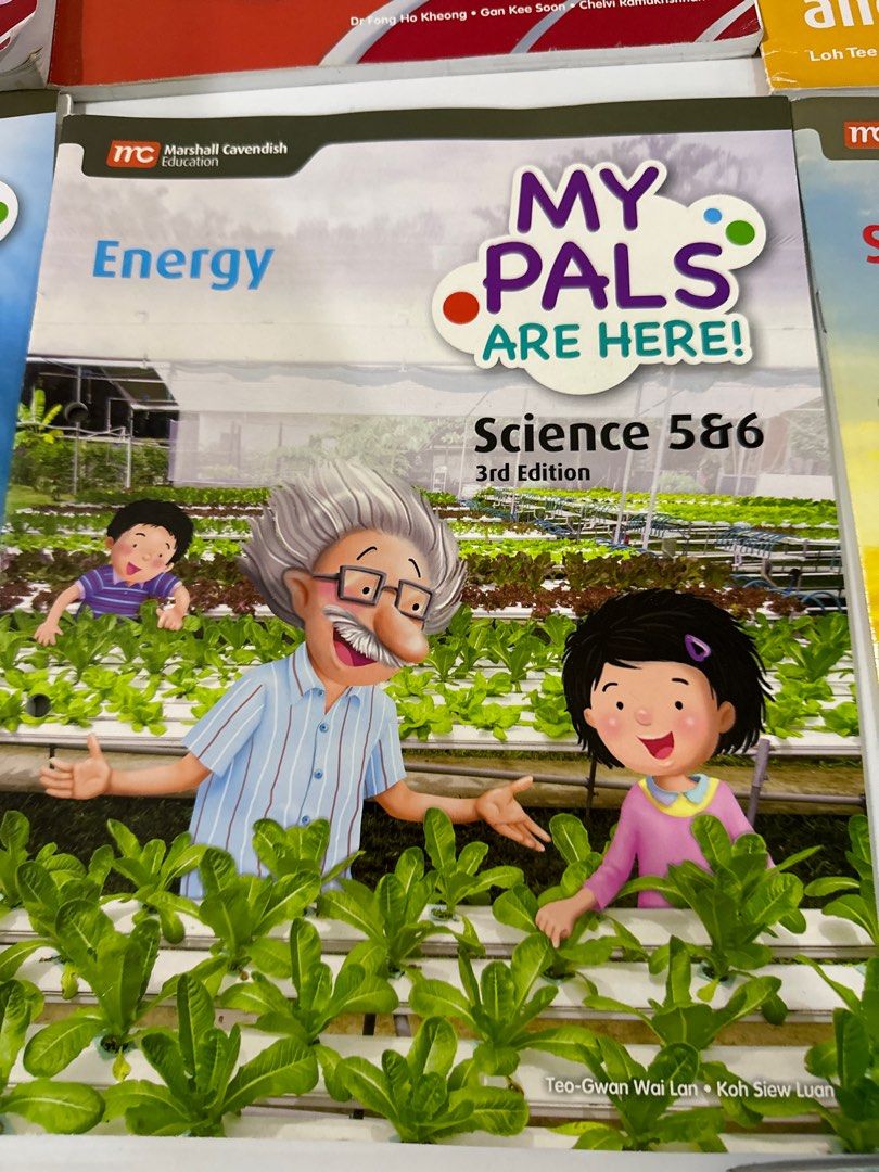 P6 Chinese / English / Math & Science Bundle 2, Hobbies & Toys, Books ...