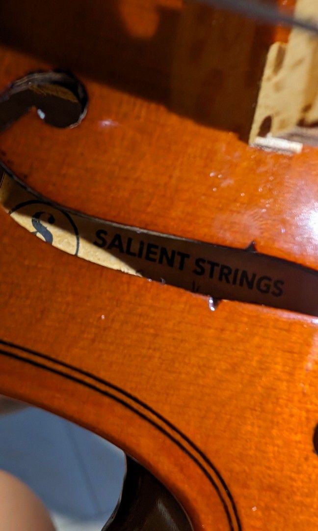 (Salient Strings) Kids Violin, Hobbies & Toys, Music & Media, Musical ...