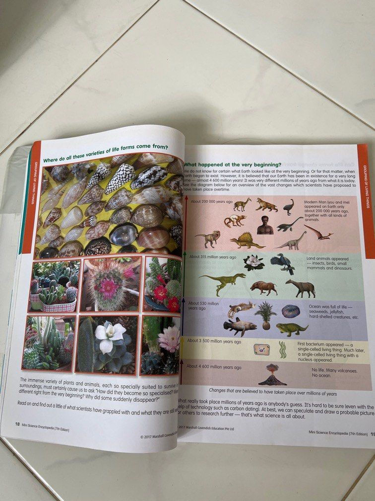 Science Encyclopedia / Amazing Body / Science Booster, Hobbies & Toys ...