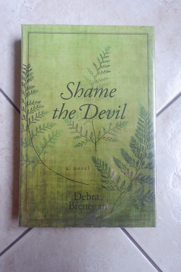 Shame The Devil by Debra Benegan, Hobbies & Toys, Books & Magazines ...