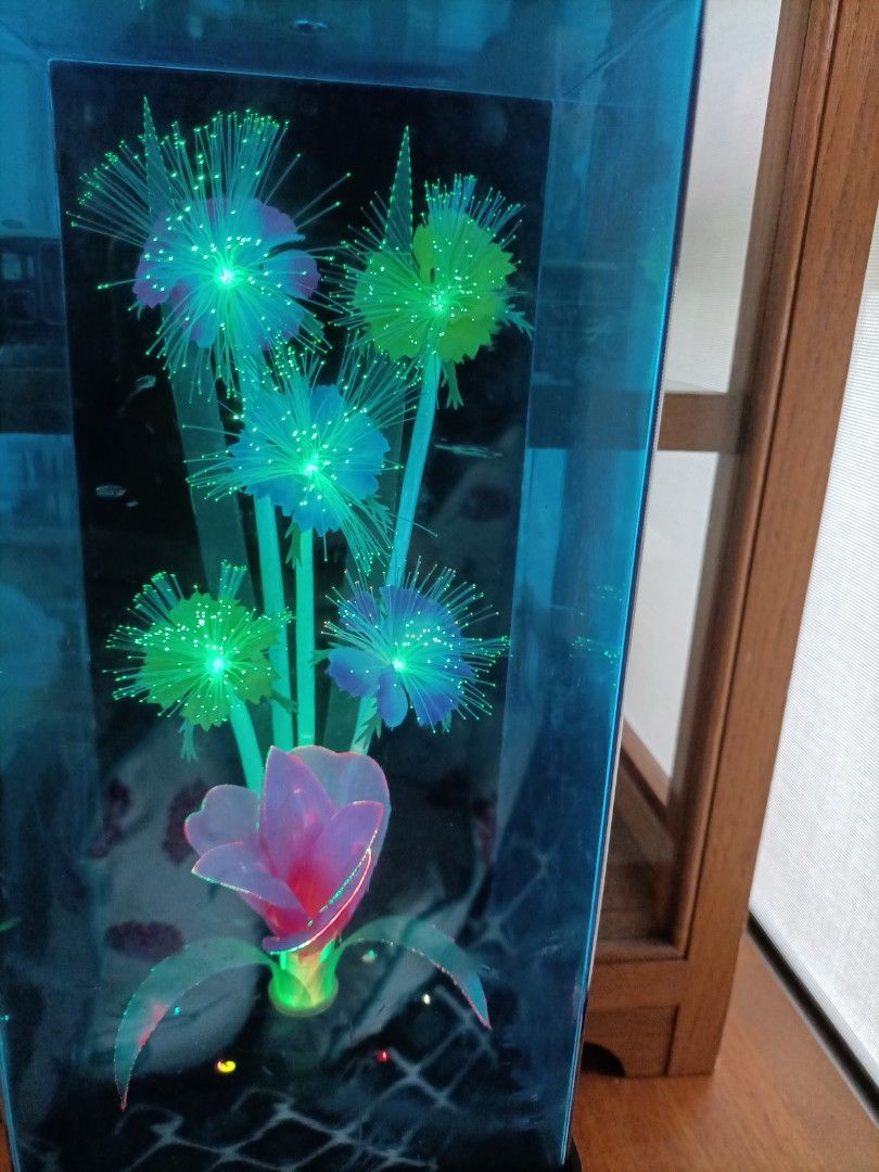 Vintage Optical Fiber Light w/Clock + musical box, Hobbies & Toys ...