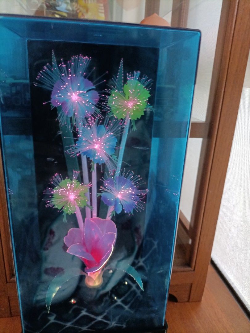 Vintage Optical Fiber Light w/Clock + musical box, Hobbies & Toys ...