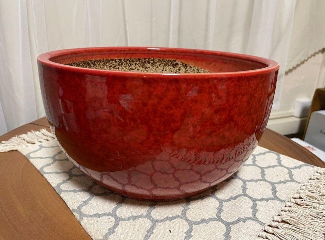 Water plant pot, watertank, fish pond, Furniture & Home Living ...