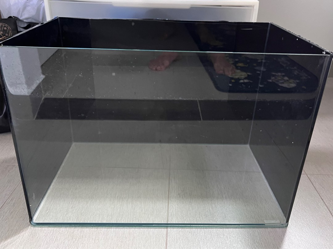 45CM Curved Glass Fish Tank, Pet Supplies, Homes & Other Pet ...