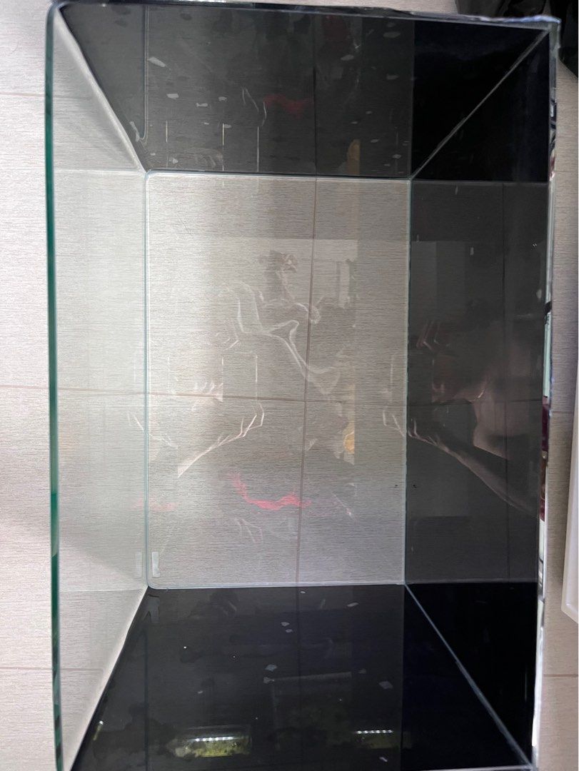 45CM Curved Glass Fish Tank, Pet Supplies, Homes & Other Pet ...