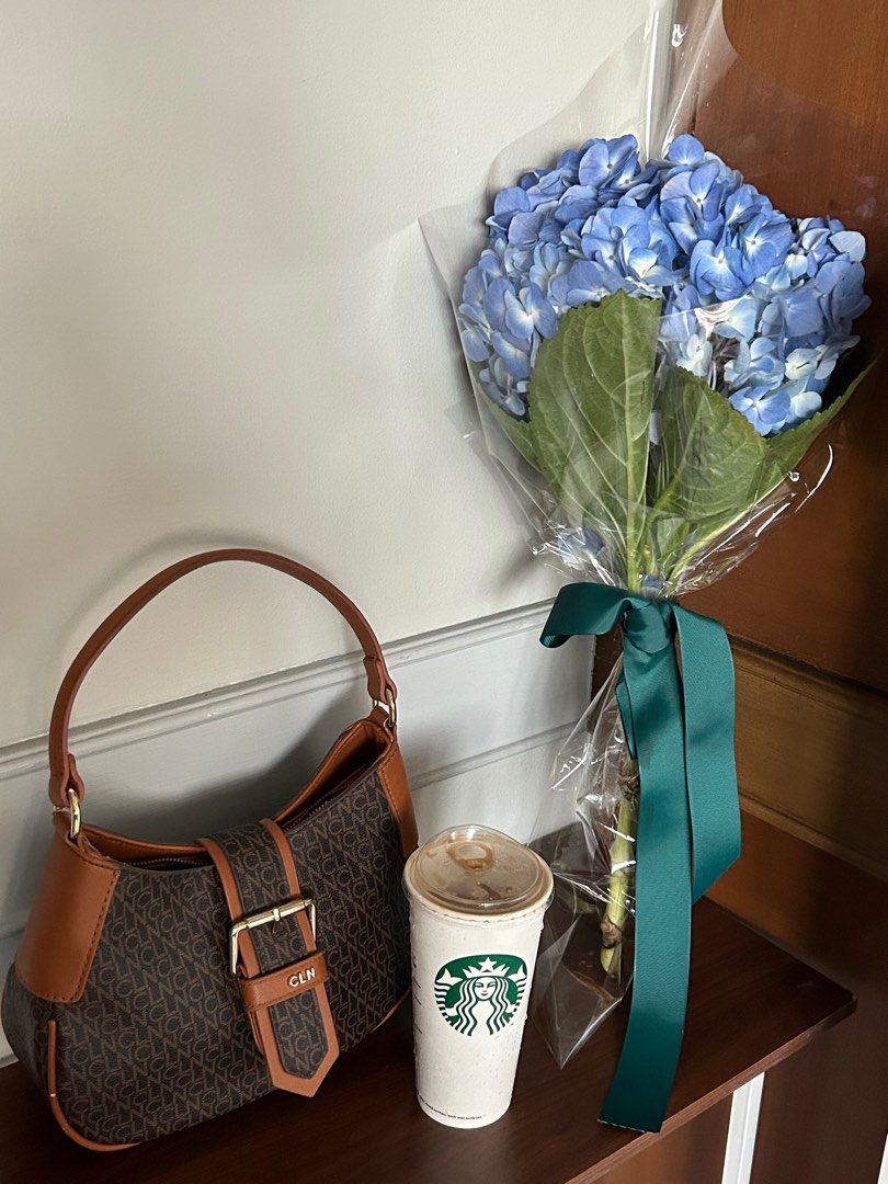 CLN Bag, Women's Fashion, Bags & Wallets, Cross-body Bags on Carousell