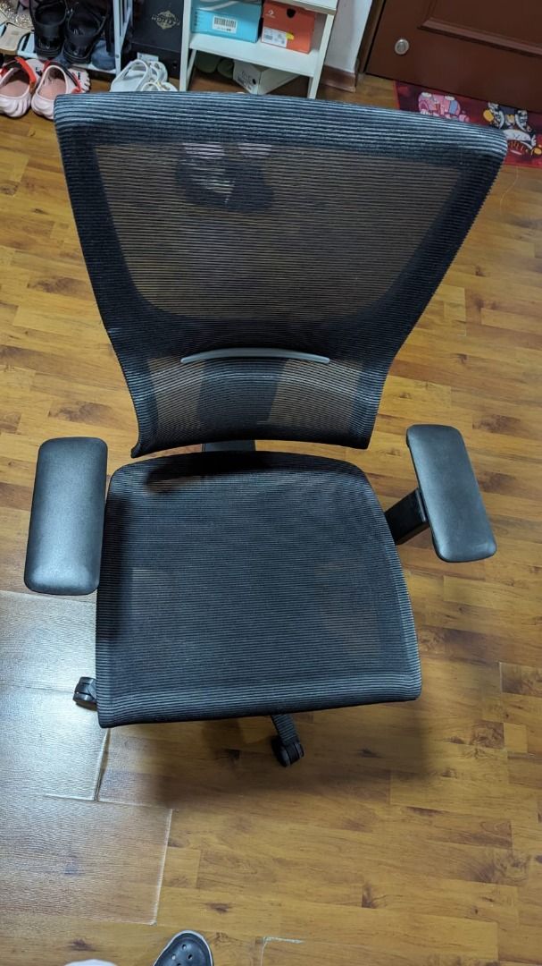 ErgoTune Classic - Ergonomic Office Chair, Furniture & Home Living ...