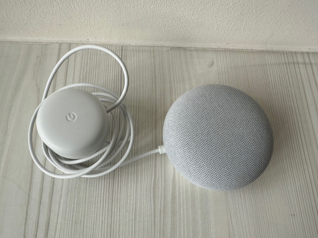 Google Nest Mini (Chalk), TV & Home Appliances, Other Home Appliances ...