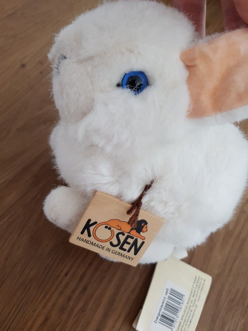 Kosen dwarf lop white rabbit, Hobbies & Toys, Toys & Games on Carousell