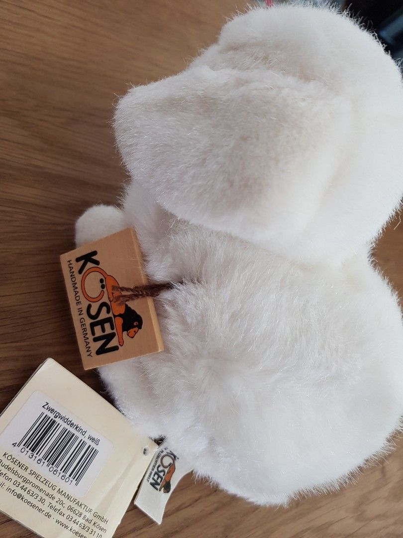Kosen dwarf lop white rabbit, Hobbies & Toys, Toys & Games on Carousell