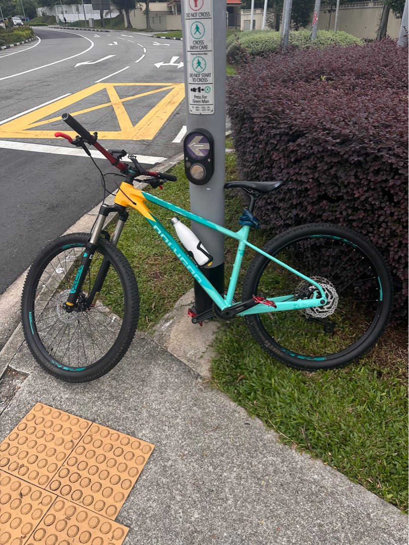 Polygon Xtrada 7 (2021), Sports Equipment, Bicycles & Parts, Bicycles ...