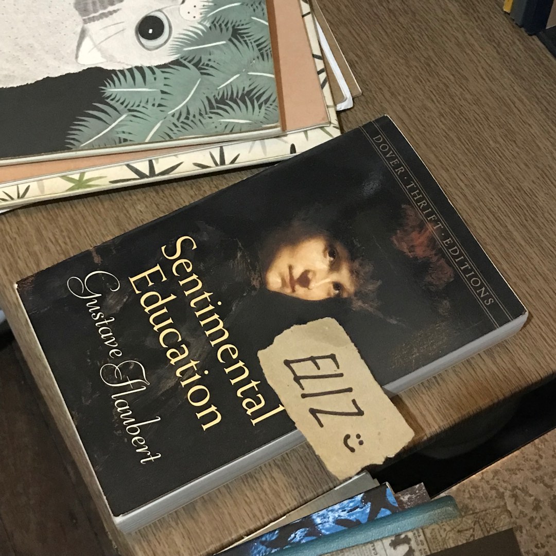 SENTIMENTAL EDUCATION by Gustave Flaubert, Hobbies & Toys, Books ...