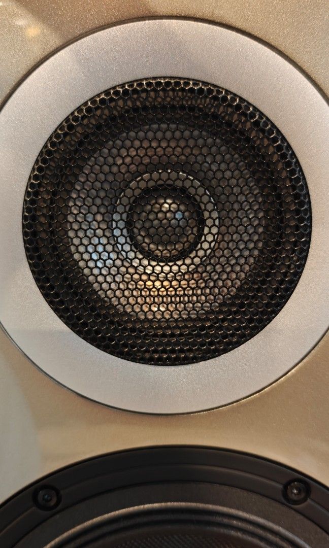 END Year Sales! $13999 ! TAD ME1 (Micro Evolution One) Audiophile End ...
