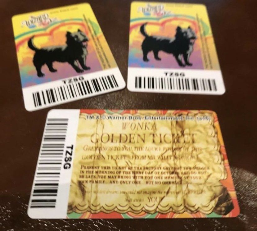Timezone golden ticket card Willy wonka, Hobbies & Toys, Toys & Games ...