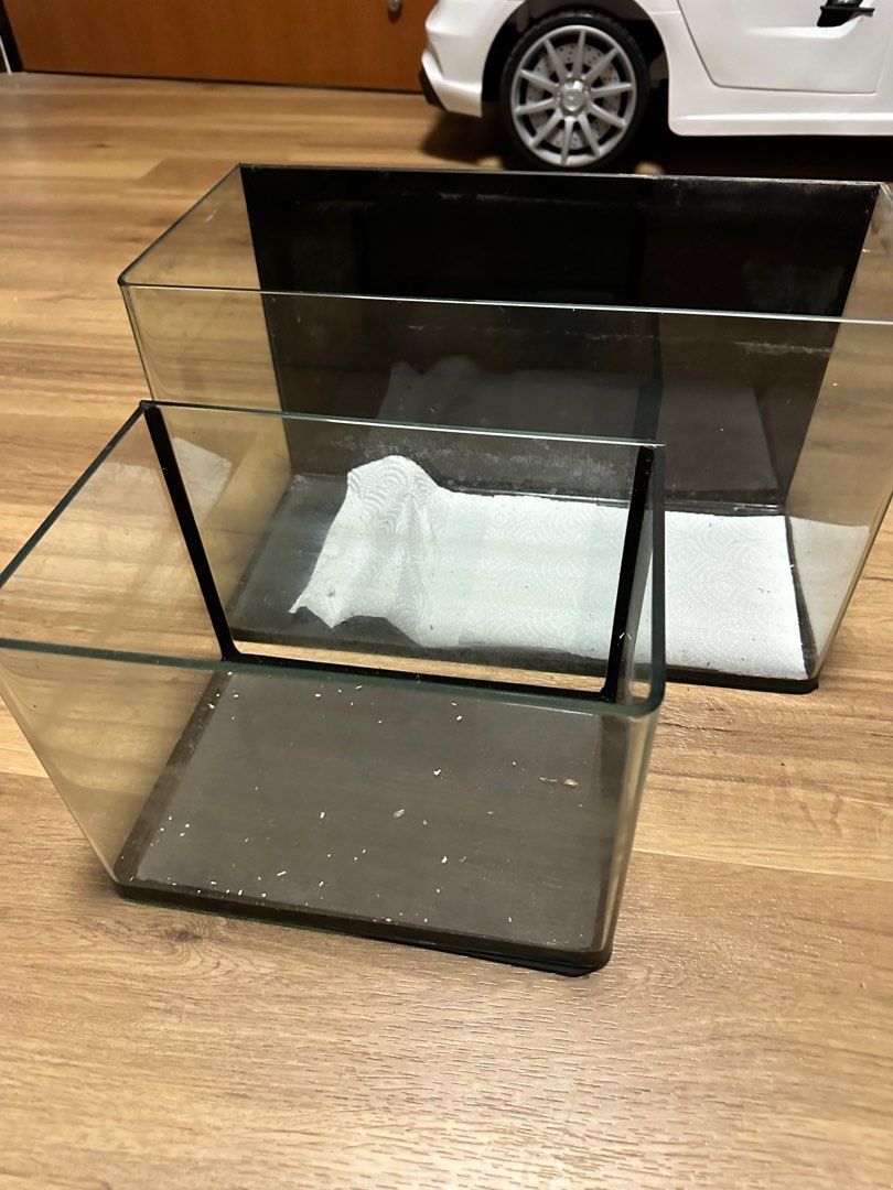 2 small curved glass fish tanks., Pet Supplies, Homes & Other Pet ...