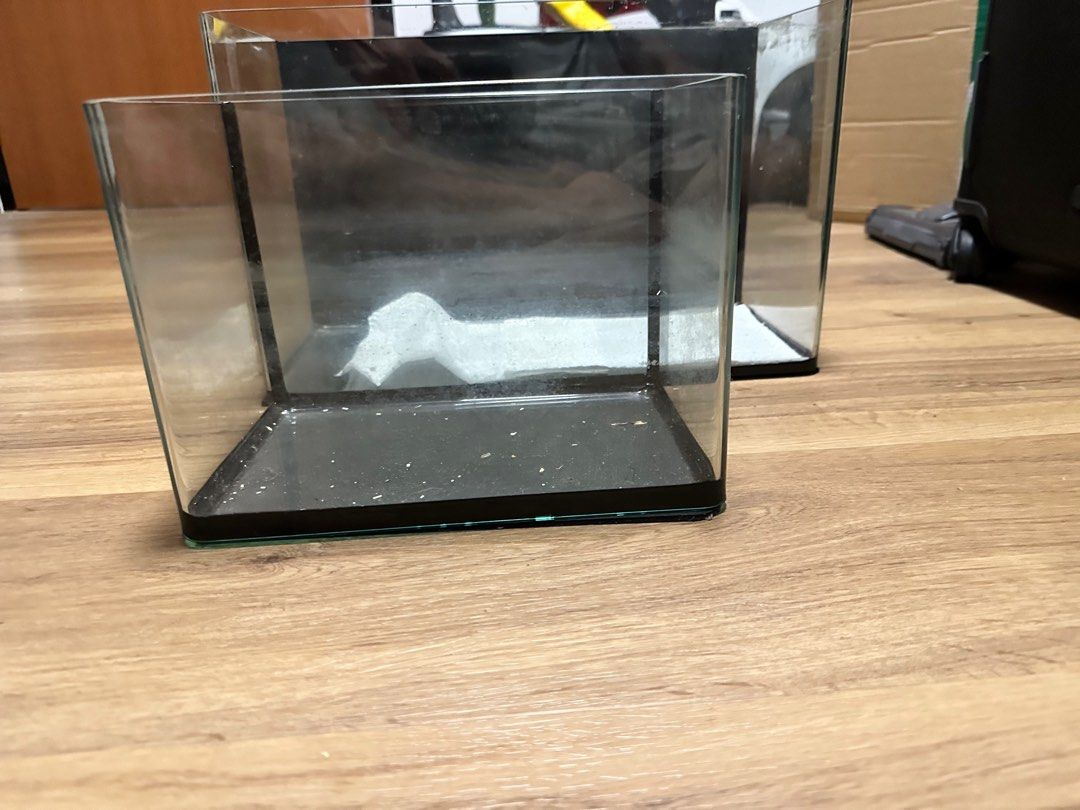 2 small curved glass fish tanks., Pet Supplies, Homes & Other Pet ...