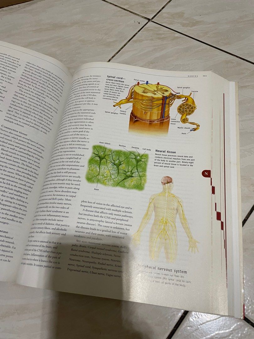 ANATOMICA THE COMPLETE HOME MEDICAL REFERENCE BOOK, Hobbies & Toys ...