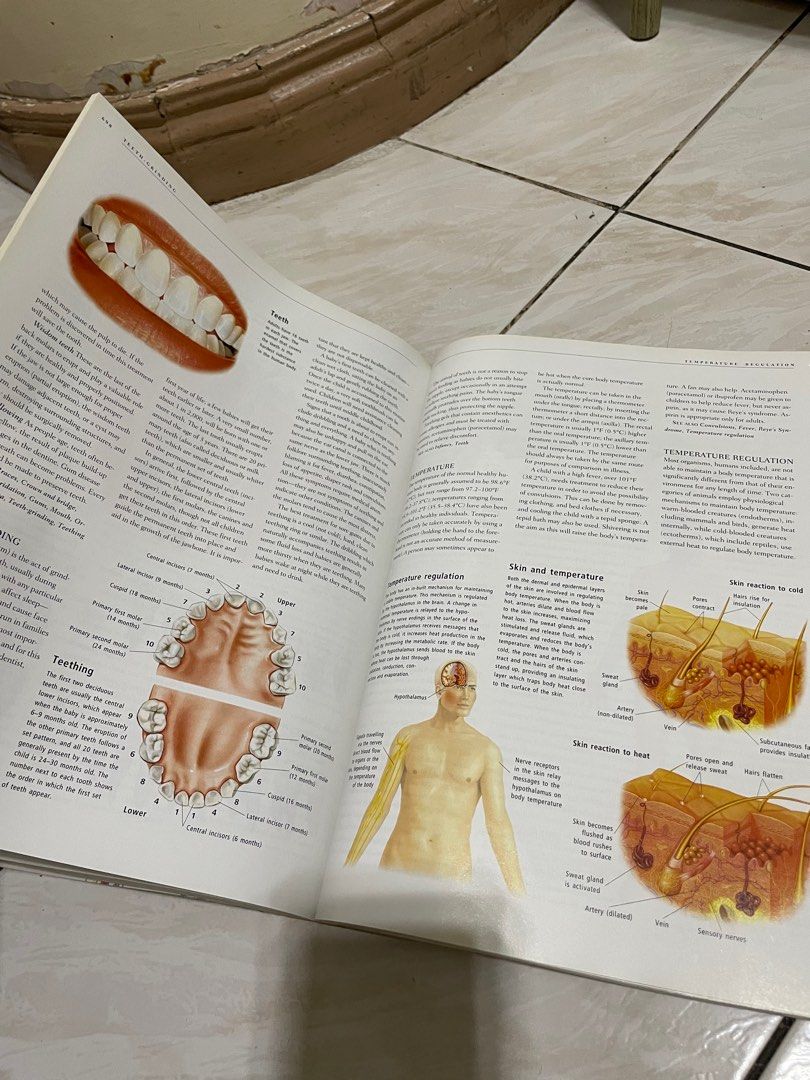 ANATOMICA THE COMPLETE HOME MEDICAL REFERENCE BOOK, Hobbies & Toys ...