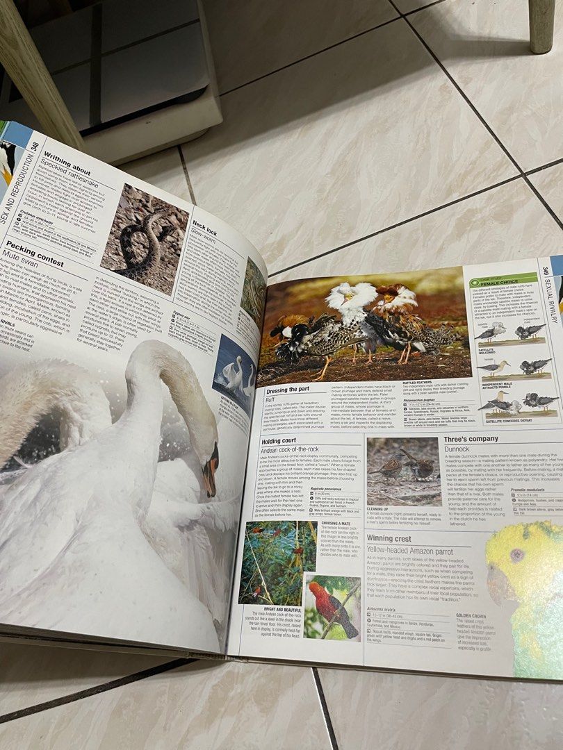 Animal Life: Secrets of the Animal World Revealed, Hobbies & Toys ...