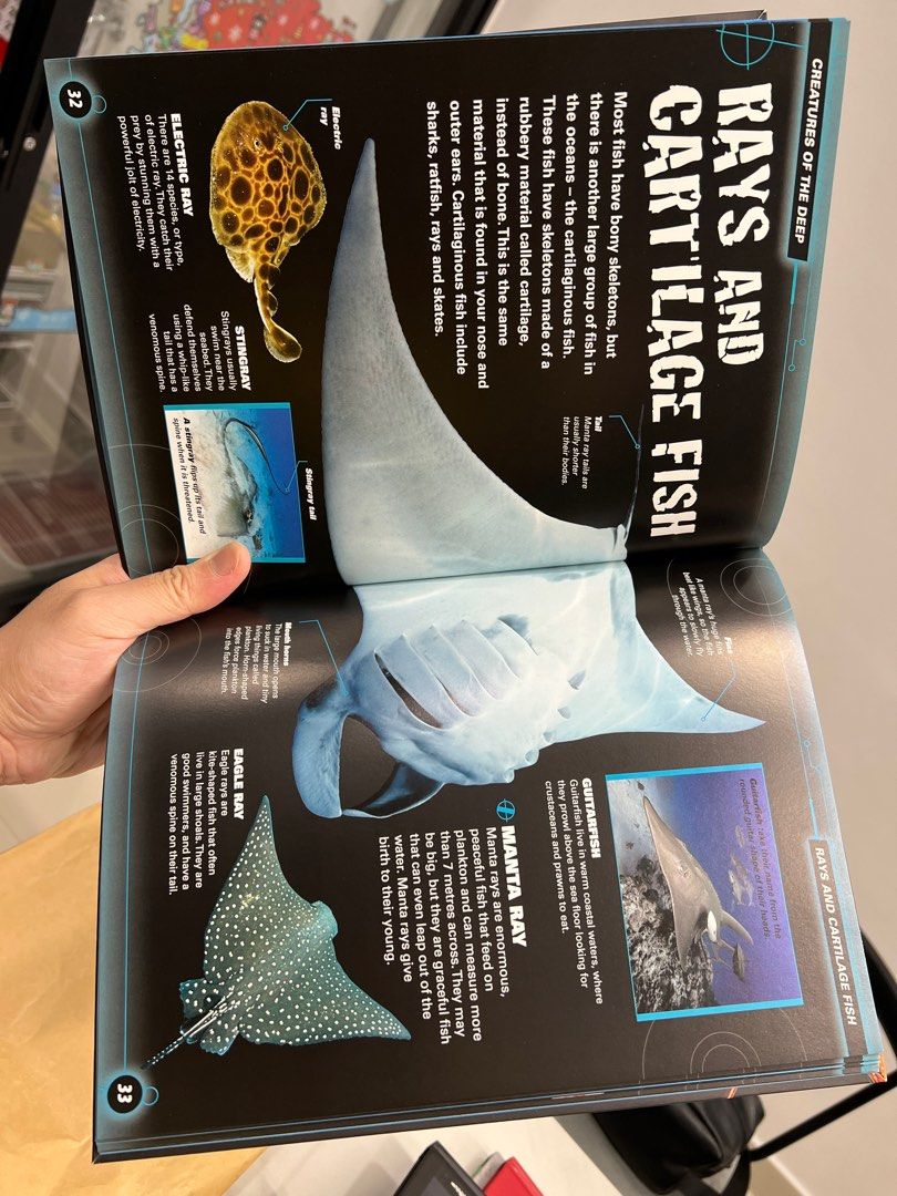 Book - Creatures of the deep - deep sea, Hobbies & Toys, Books ...