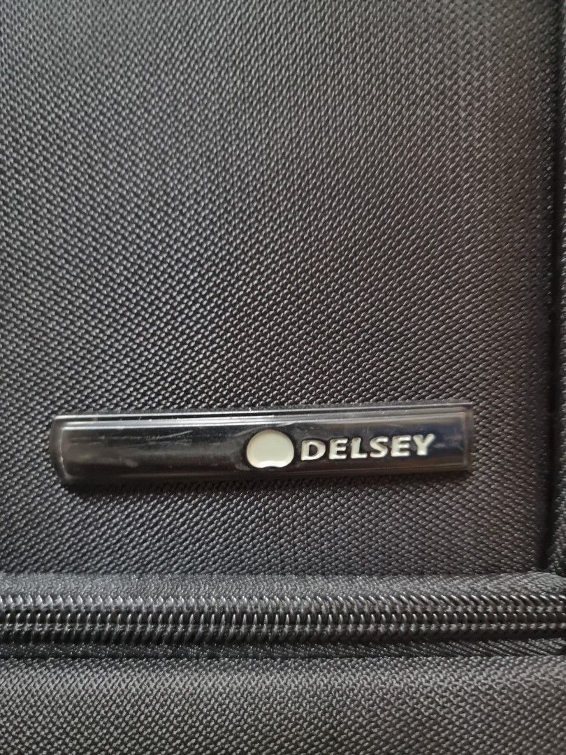 Delsey 2 wheels luggage, Hobbies & Toys, Travel, Luggage on Carousell