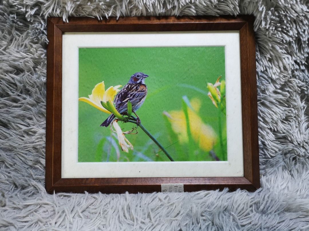 Frame Club Brown V Cut Mount Frame, Furniture & Home Living, Home Decor ...