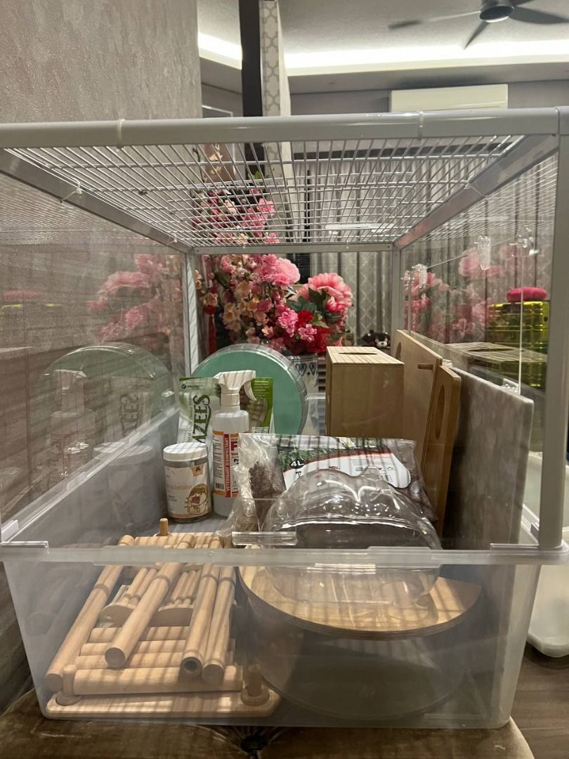 All in one Hamster Cage + Essentials, Pet Supplies, Homes & Other Pet Accessories on Carousell