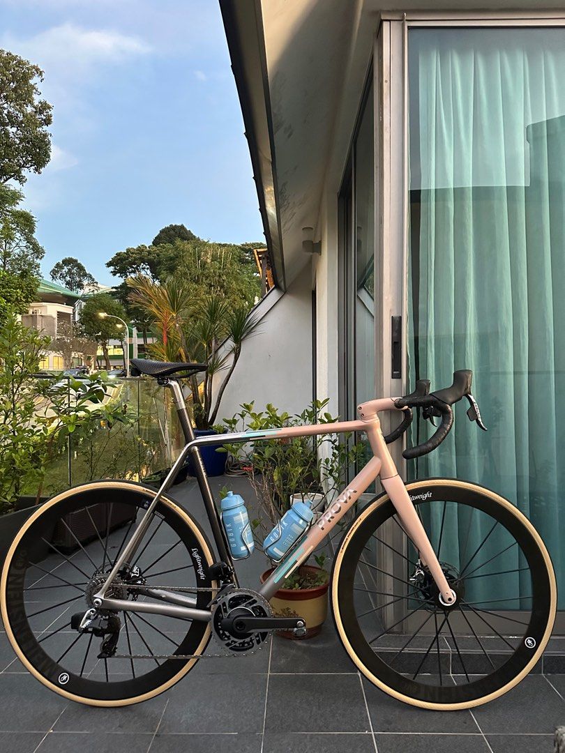 Prova Integrale (Ti custom bicycle) with Lightweight Meilenstein wheels ...