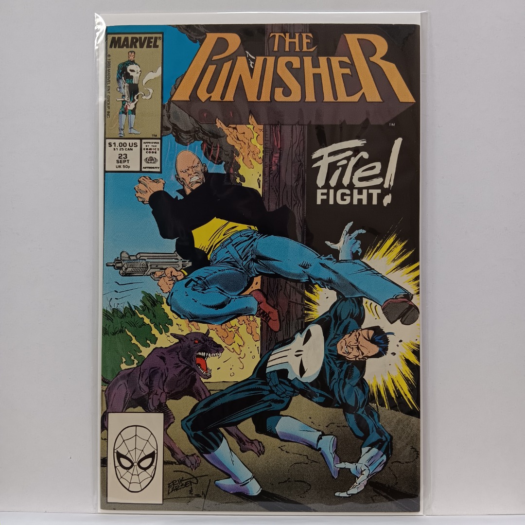 Punisher #23. FN. Eric Larsen art and cover!, Hobbies & Toys, Books ...