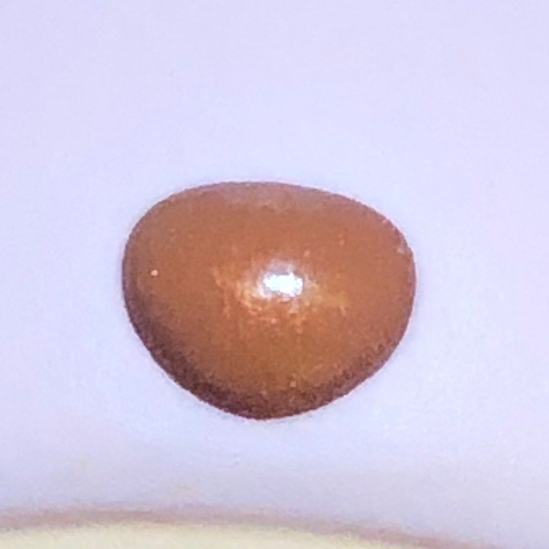 Sonny Angel Lop Ear Hipper SET, Hobbies & Toys, Toys & Games on Carousell