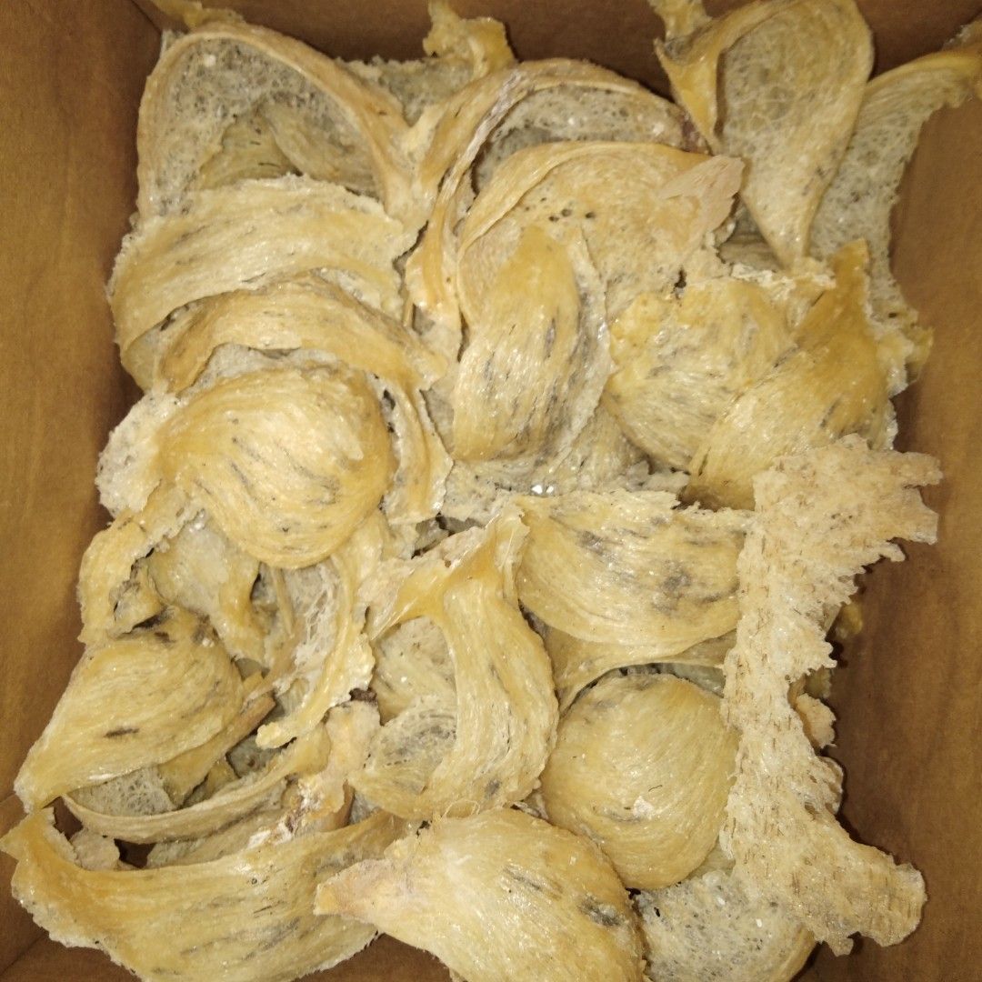 Swiftlets Bird Nest, Food & Drinks, Fresh Produce on Carousell